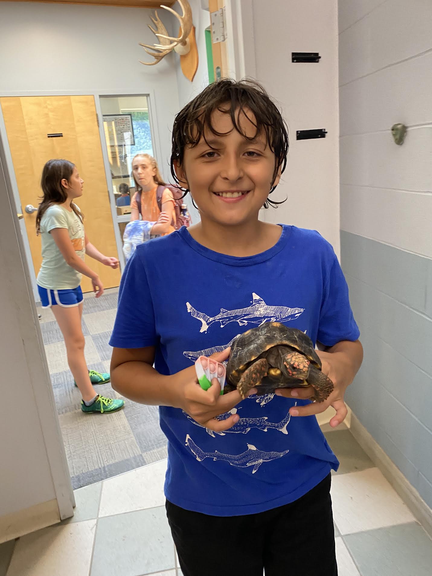 Conducting Qualitative Research at Camp- Fluent Research