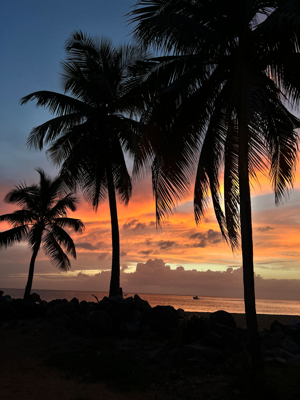 Fluent’s Favourite Photos - Fluent Research